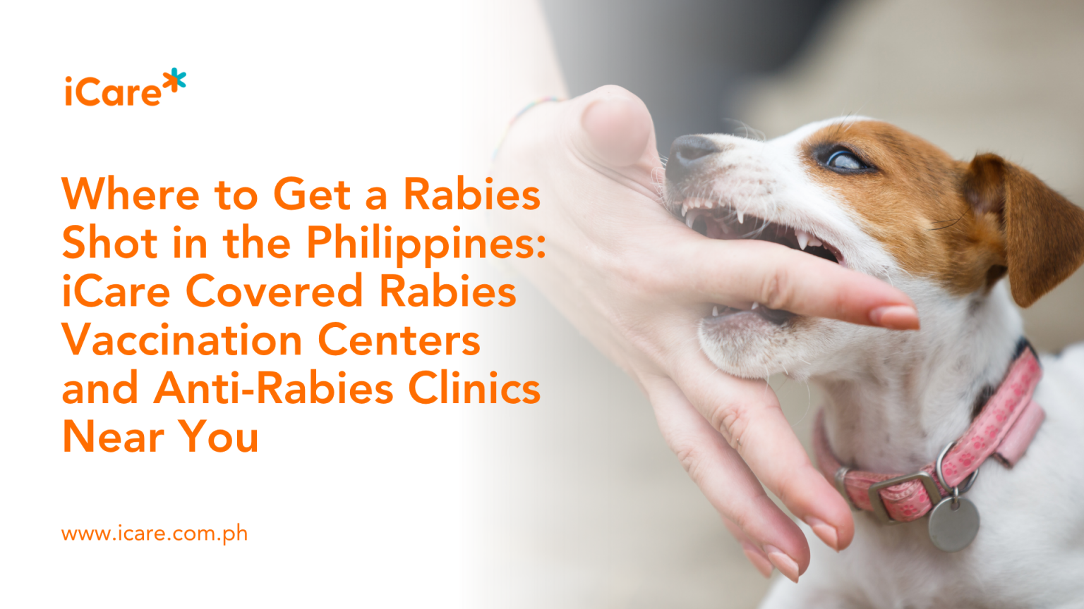 Where to Get a Rabies Shot in the Philippines with iCare